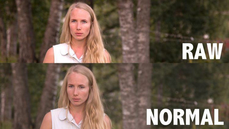 Conheça mais sobre o formato RAW de imagem - Blog eMania